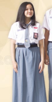 Dasi Object Detection Dataset and Pre-Trained Model by pancasila