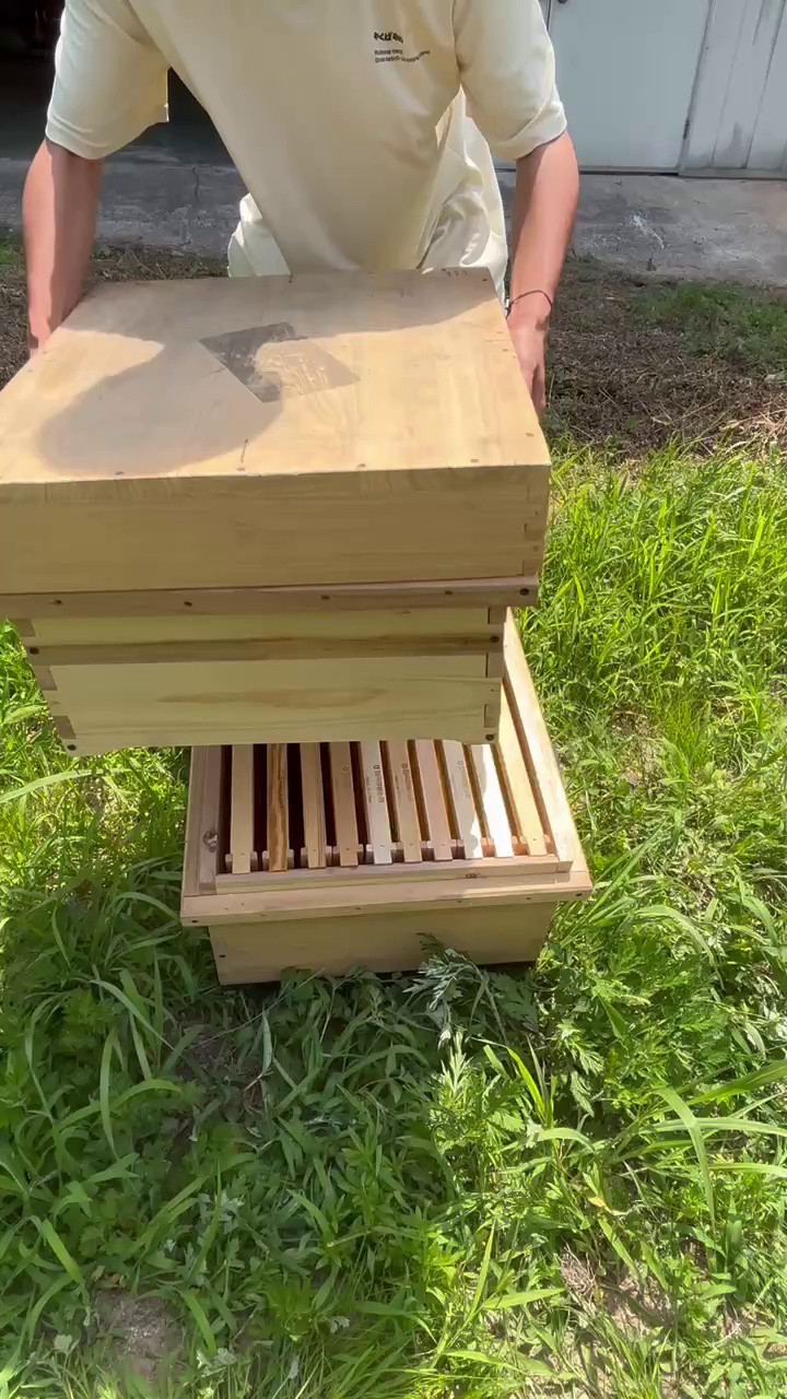 more_beehive Object Detection Model by wang pingan