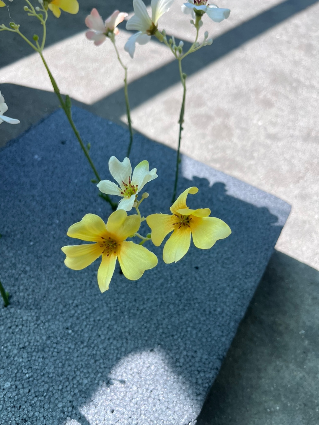 flower Object Detection Dataset and Pre-Trained Model by wang pingan