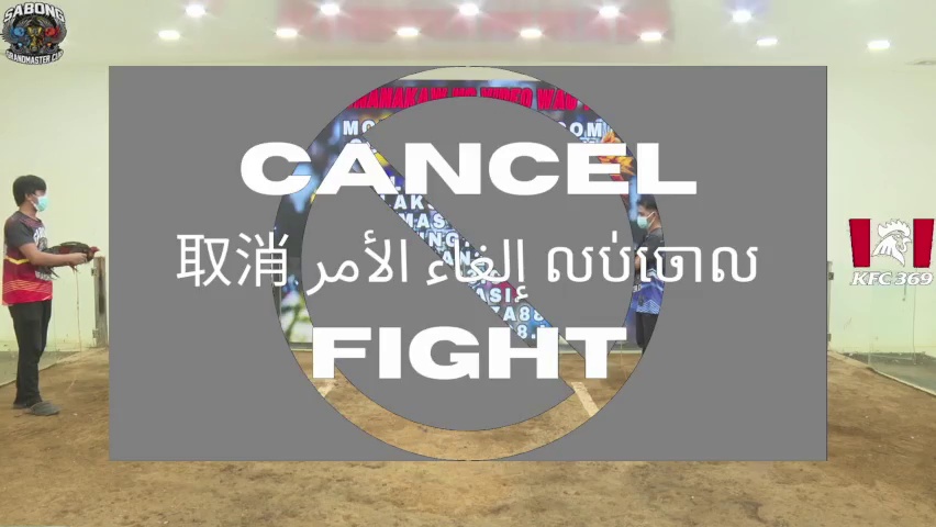 sab Classification Dataset by tomato