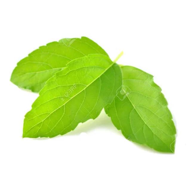 Tulsi Object Detection Model by politicians