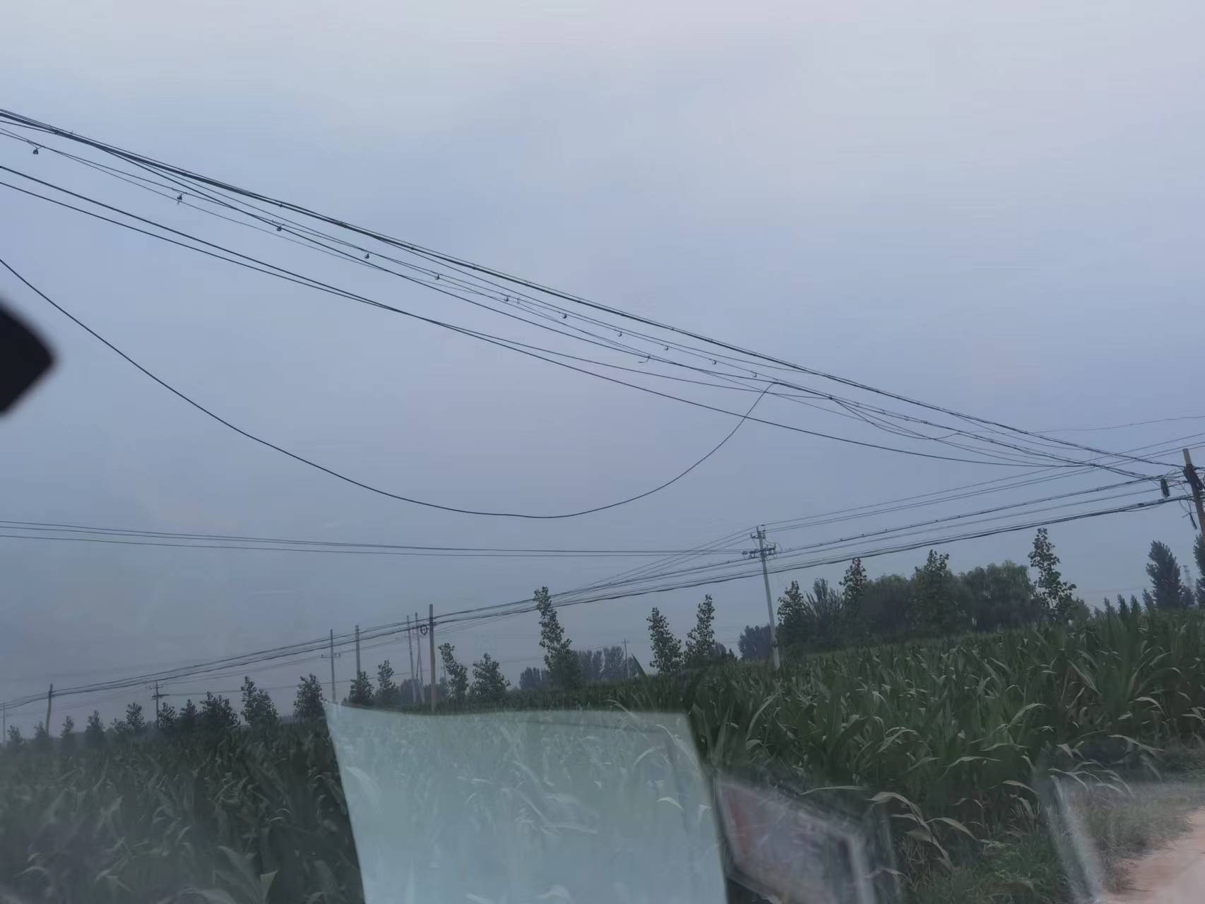 sample_curved_line Object Detection Model by vmware