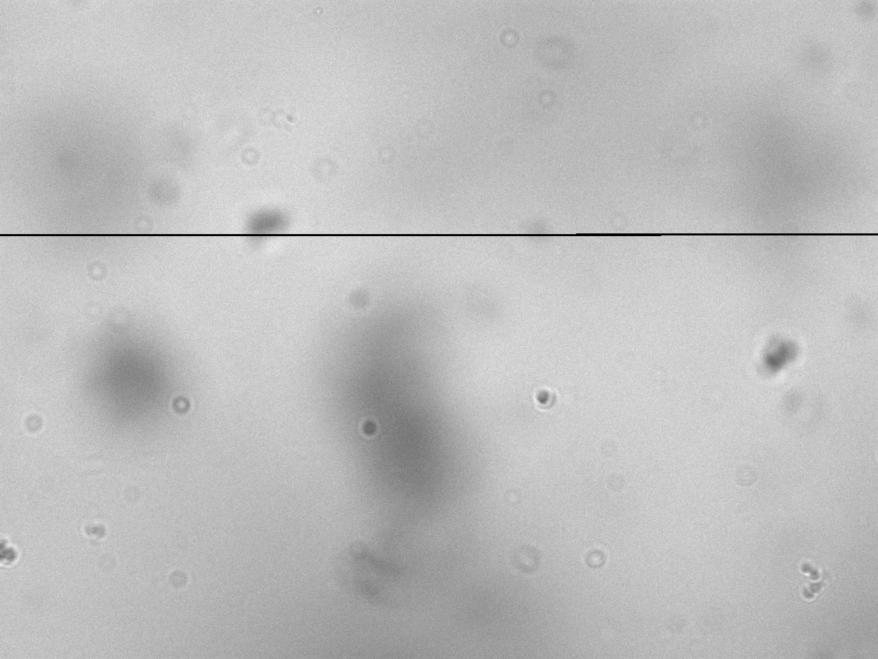 Floc App - Roboflow Universe