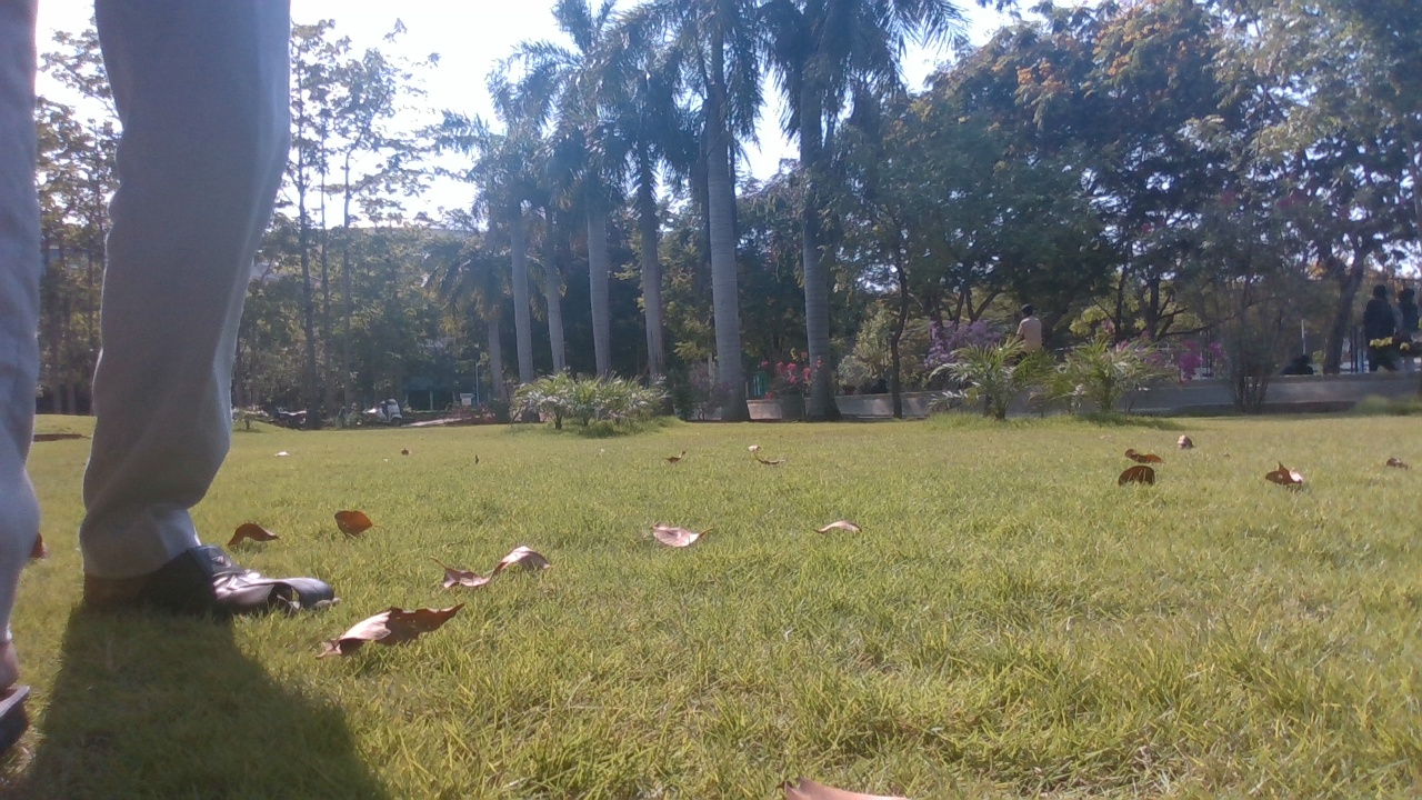 project2 Object Detection Model by pathplanning