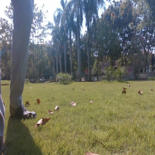 Sematic Semantic Segmentation Dataset by pathplanning