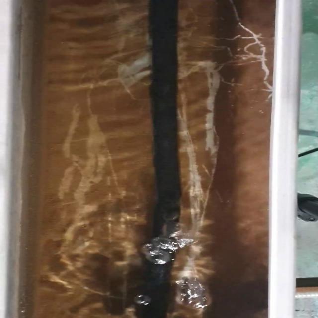 0810_all_bubble Object Detection Dataset by shrinand aggarwal