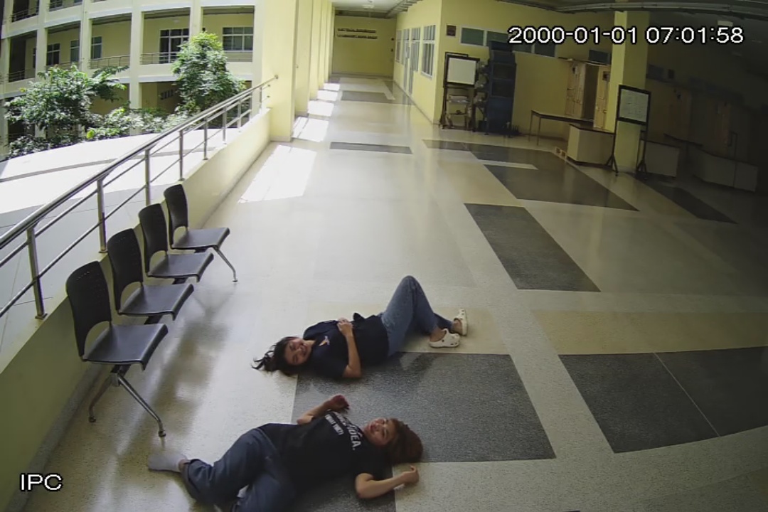 Fall Detection Object Detection Model By Hong Nguyn