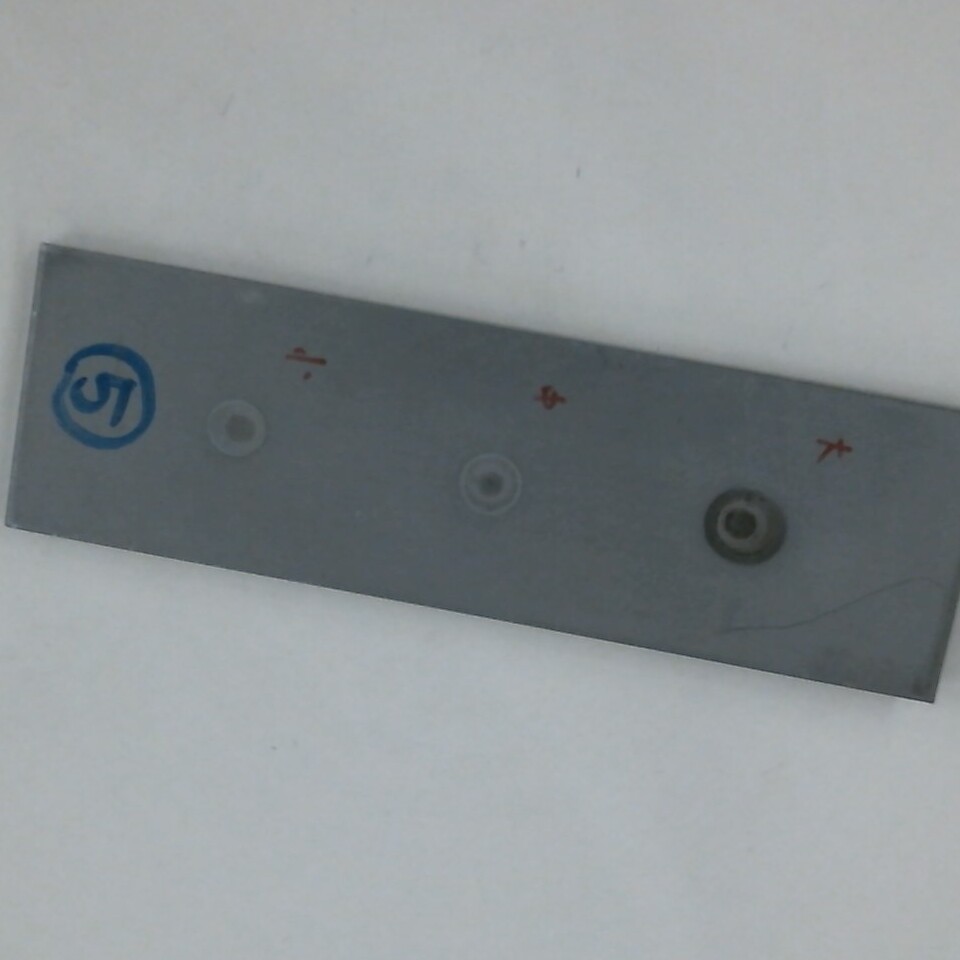 Test Object Detection Dataset And Pre Trained Model By Phan Hong Quang