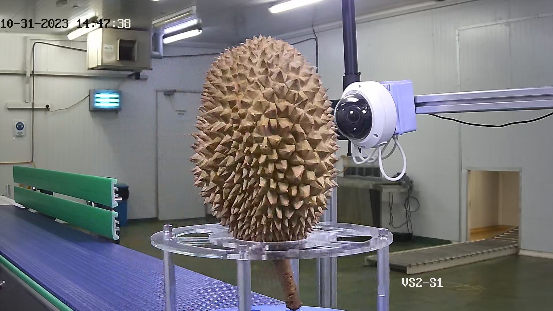 durian-grading-26102023_dataset Object Detection Dataset by bestgetsbetter