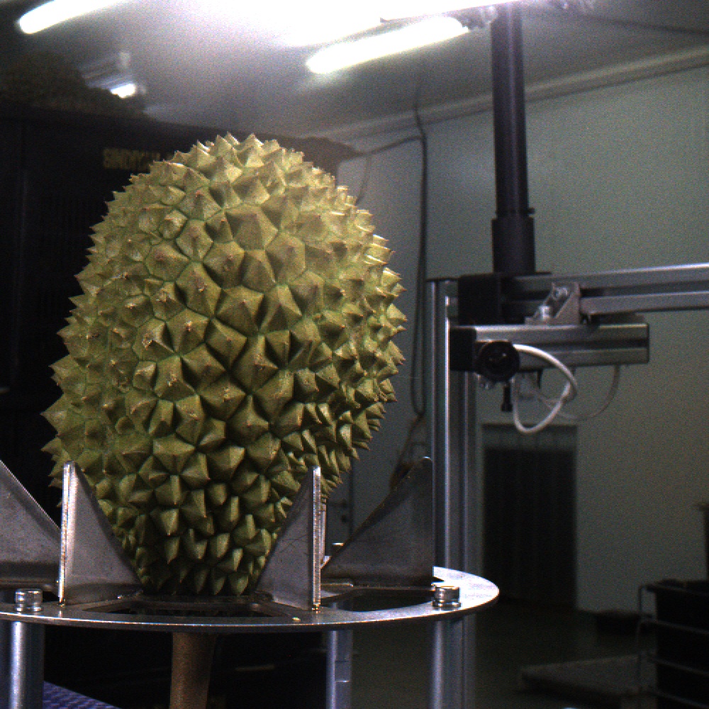 durian-grading-21082023_dataset Semantic Segmentation Model by bestgetsbetter