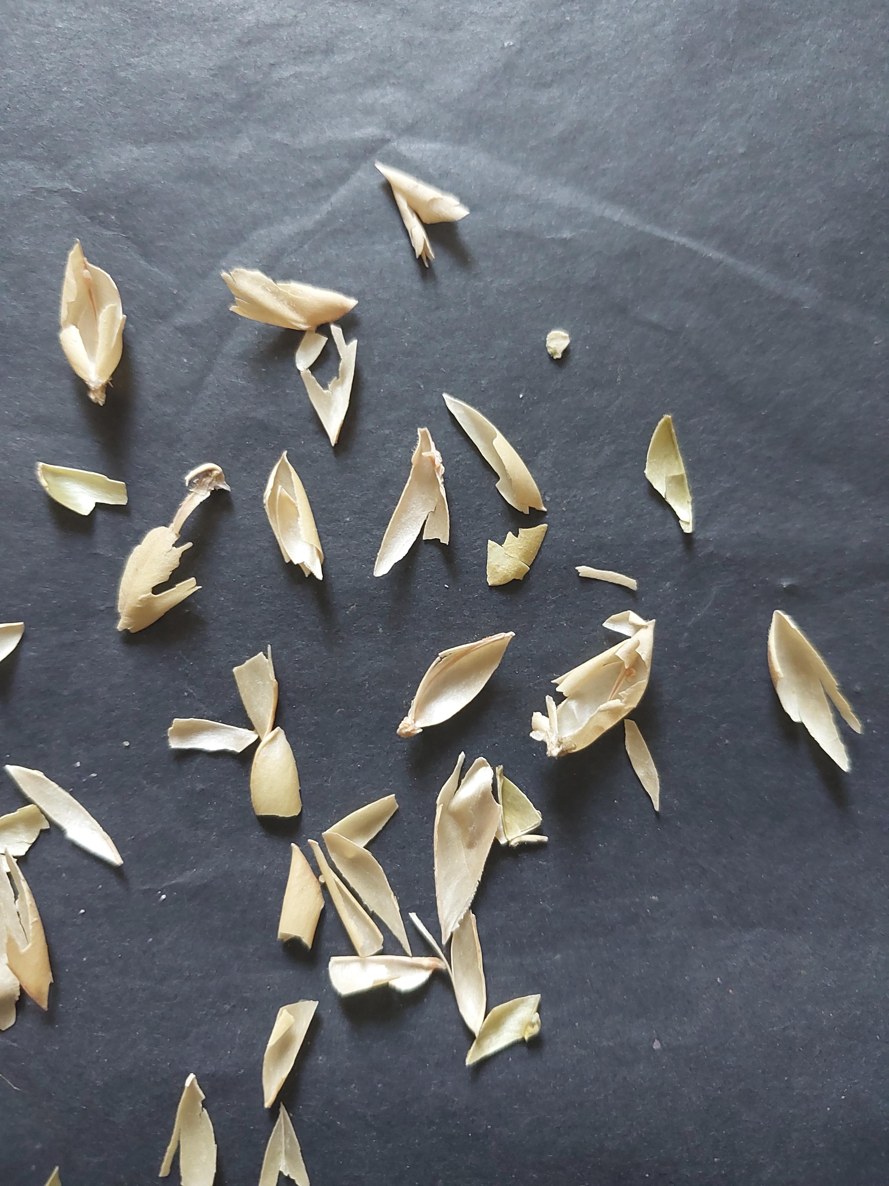 class Object Detection Dataset by x