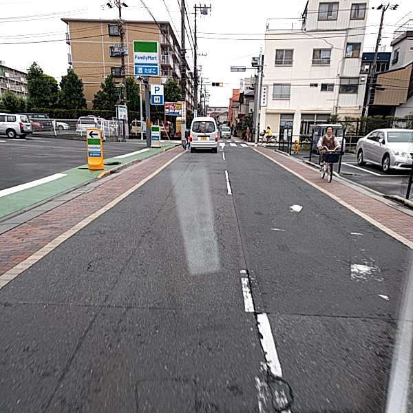 mix Object Detection Dataset by crack