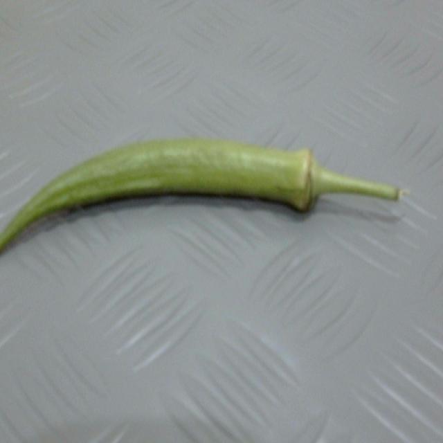 good-okra Instance Segmentation Dataset by good
