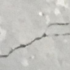 the_crack Instance Segmentation Model by hp