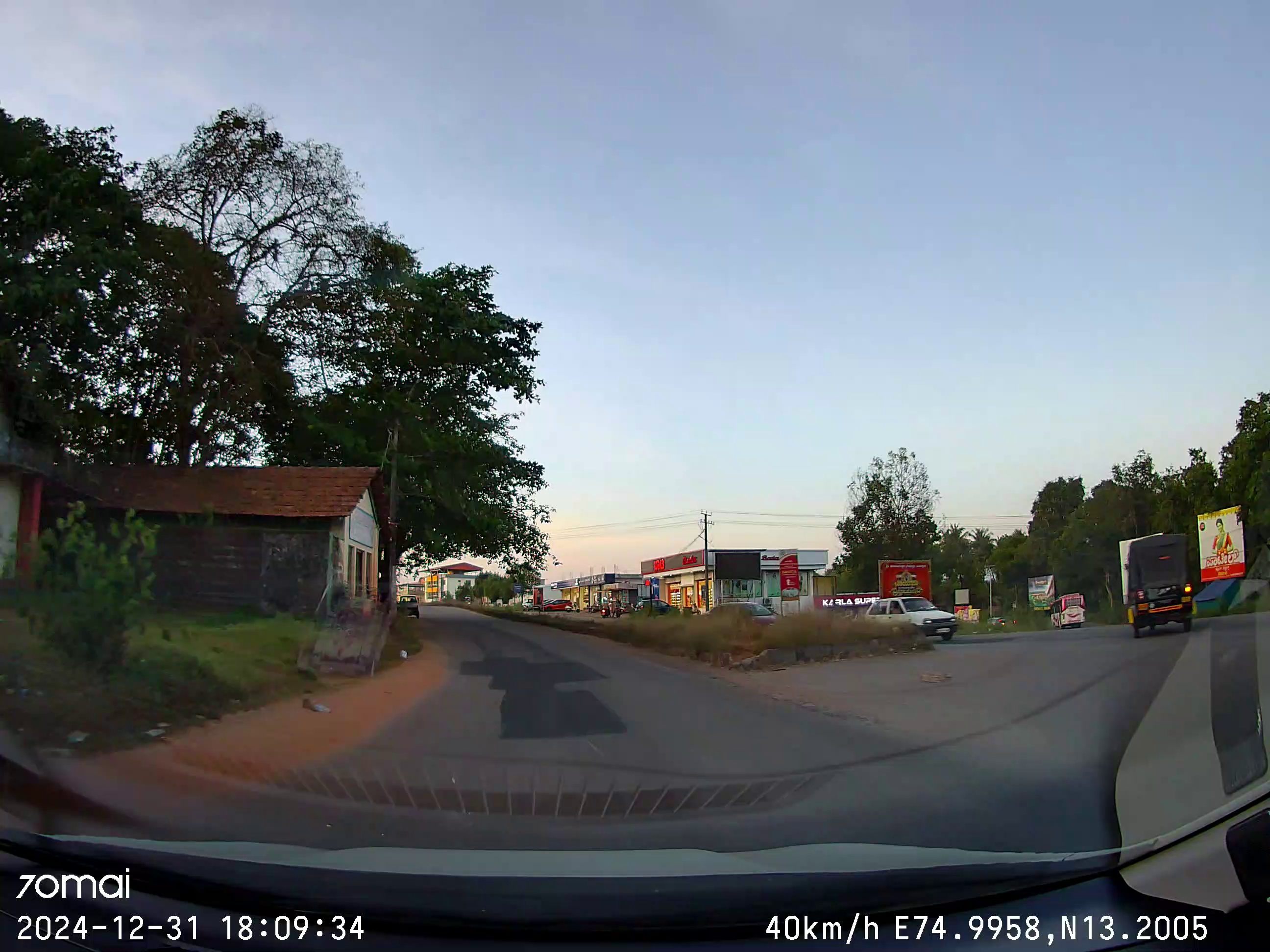 How to Use the Road-Boundary-Detection Instance Segmentation API