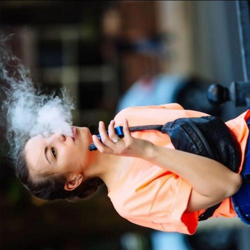 Smoke Object Detection Dataset by WDCS