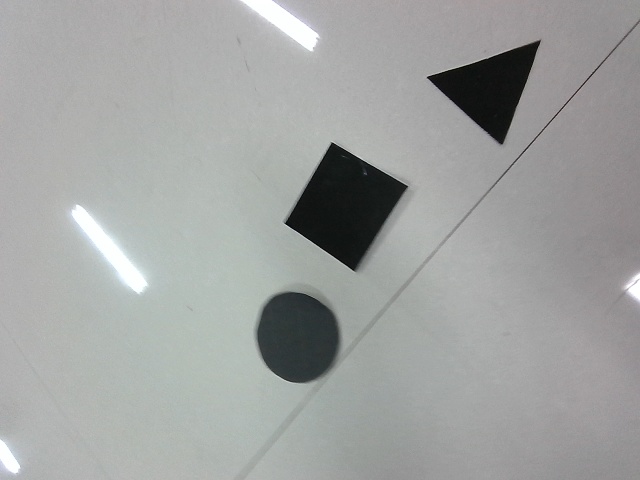 dog Instance Segmentation Model by project-lp4df