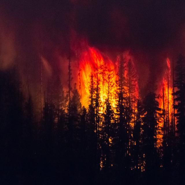 Forest Fire Response System Object Detection Dataset And Pre Trained Model By Device