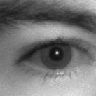 Yolov5_Eyes Instance Segmentation Dataset and Pre-Trained Model by eye augmentation