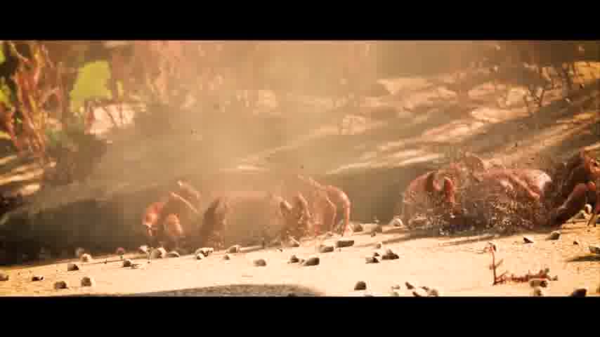 Crab Detect Object Detection Model By Shieho