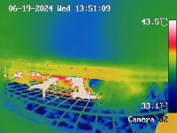 Dead Laying Hens Detection - Roboflow Universe