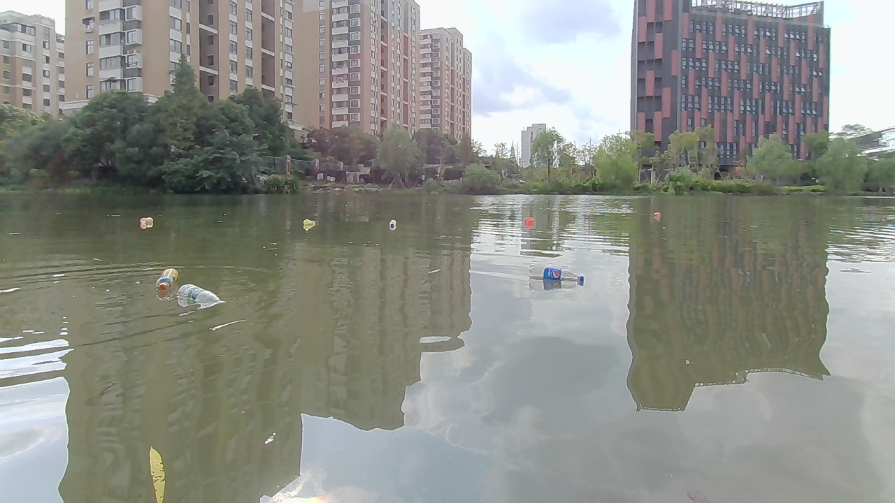 Waste Detection Object Detection Model by MAINPROJECT