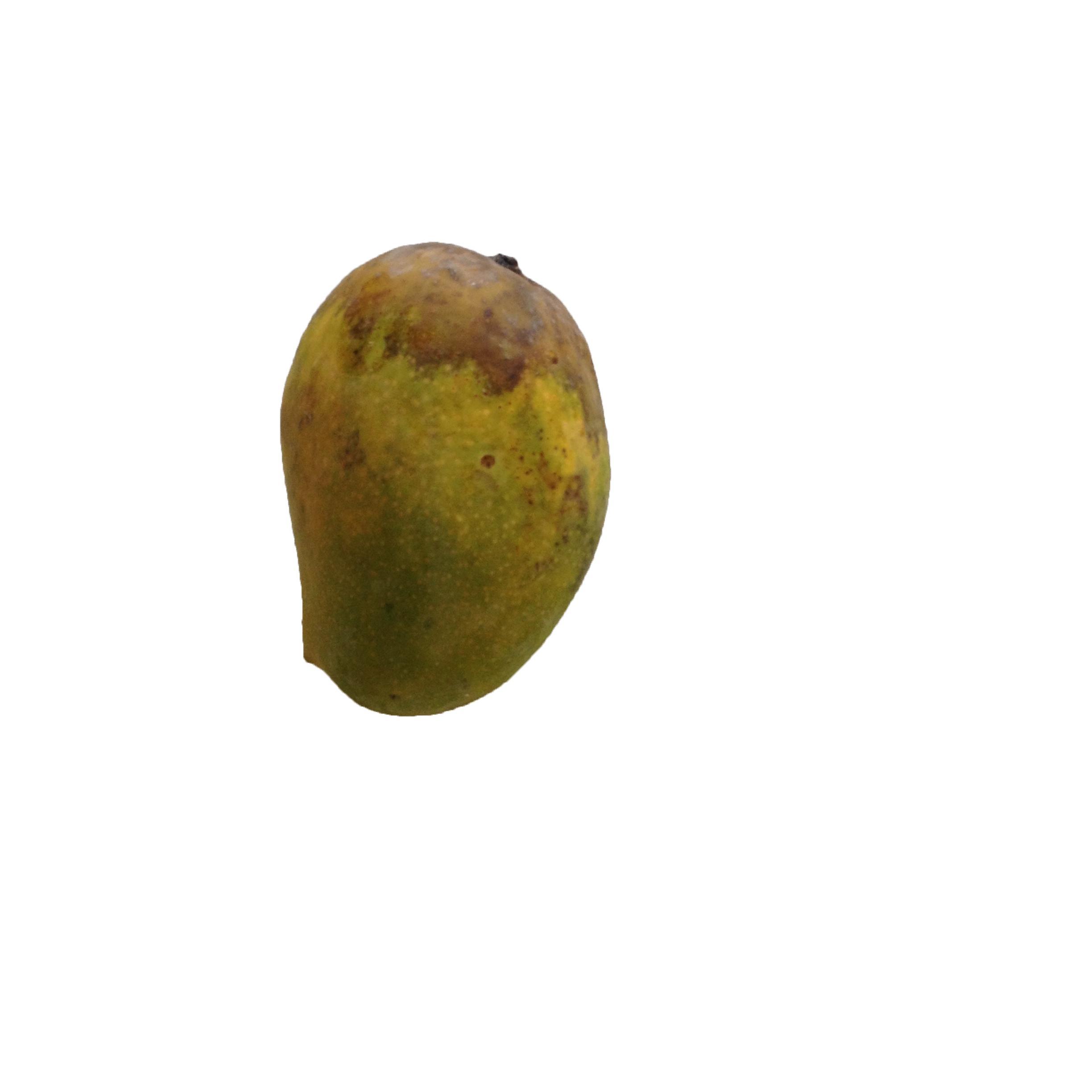Mangoes Detection Object Detection Dataset And Pre Trained Model By
