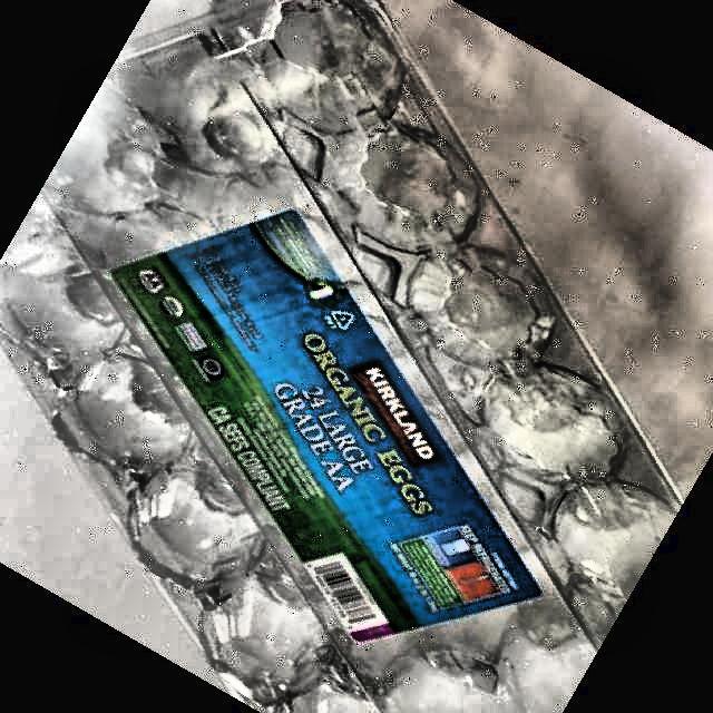 garbage Object Detection Model by waste dataset