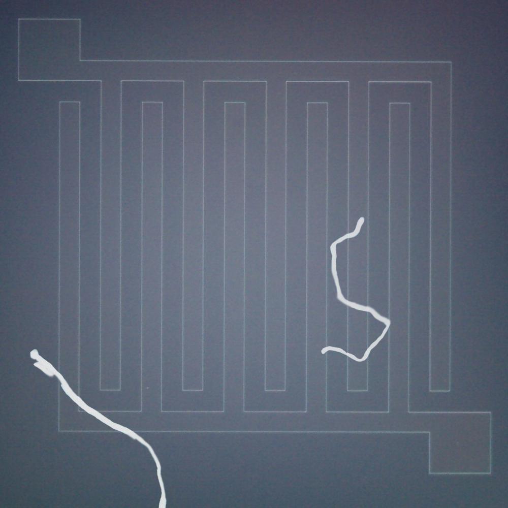 semi_ex1 Object Detection Dataset by myworkspace