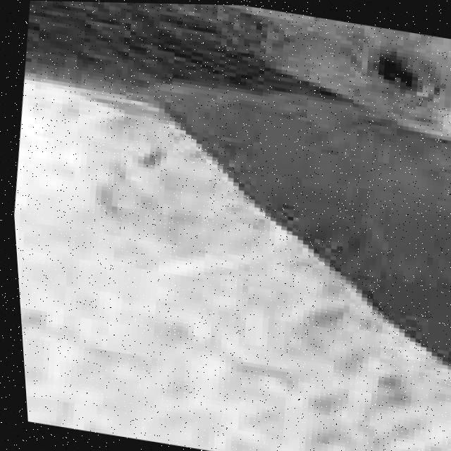 Elephant Group1 Object Detection Dataset by Elephant Project