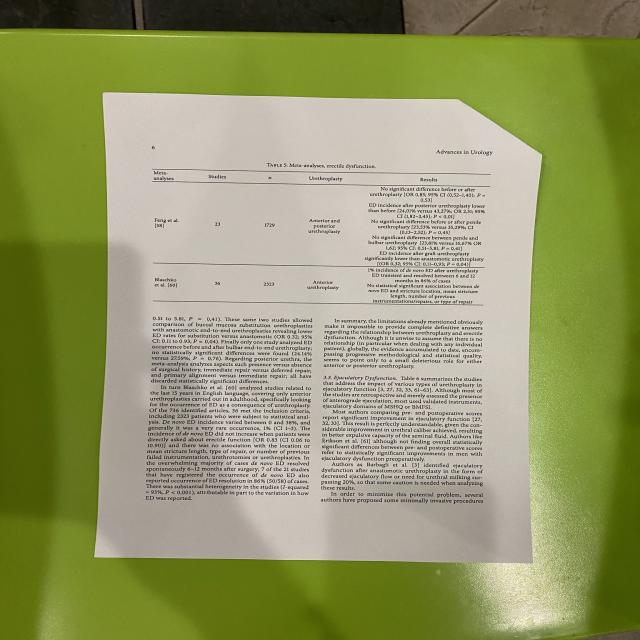 PAPER Instance Segmentation Dataset by unochapeco