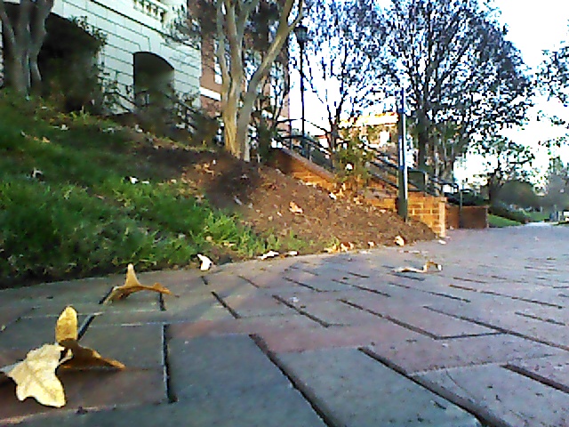 Sidewalk Object Detection Model by UNCC ALGO 2