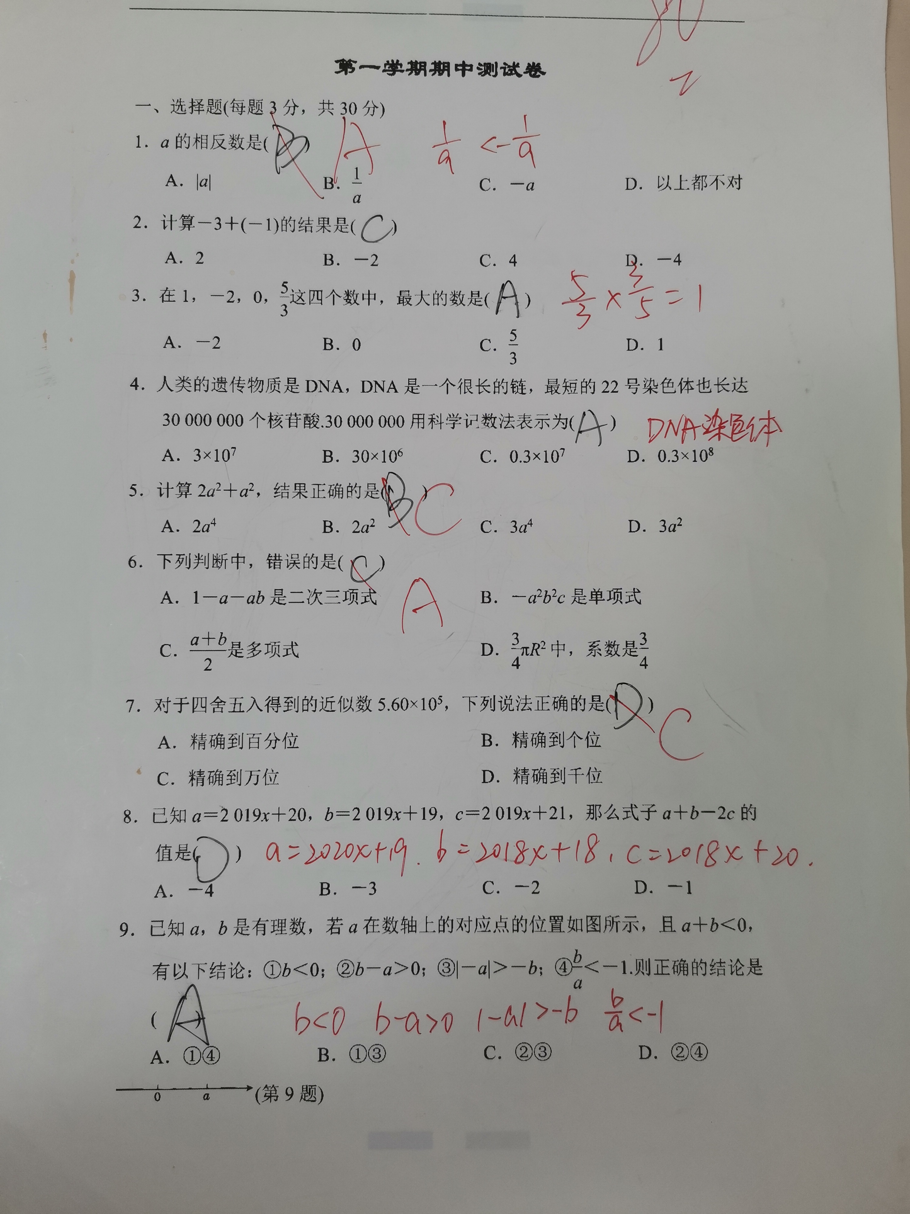 Exam Object Detection Model By Hqu