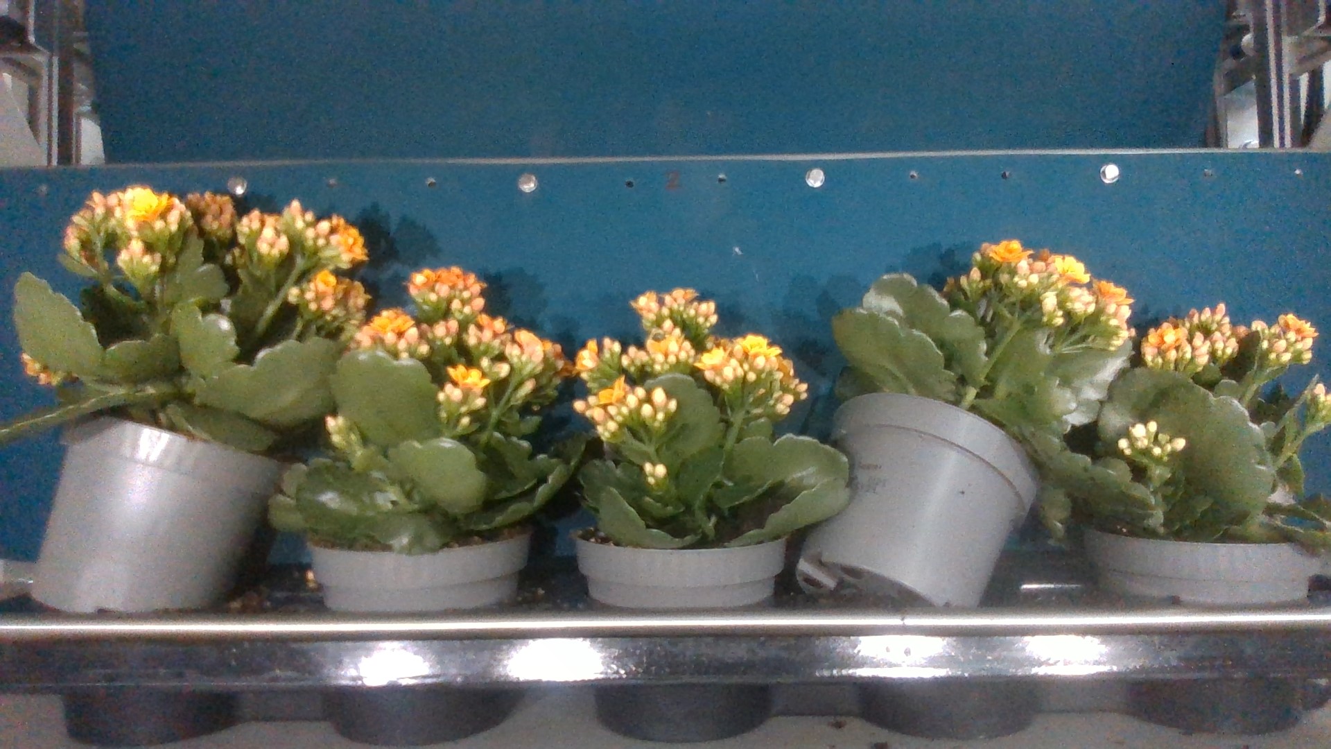 SMR 2 | Martin Stolze Dataset Object Detection Dataset by Martin Stolze