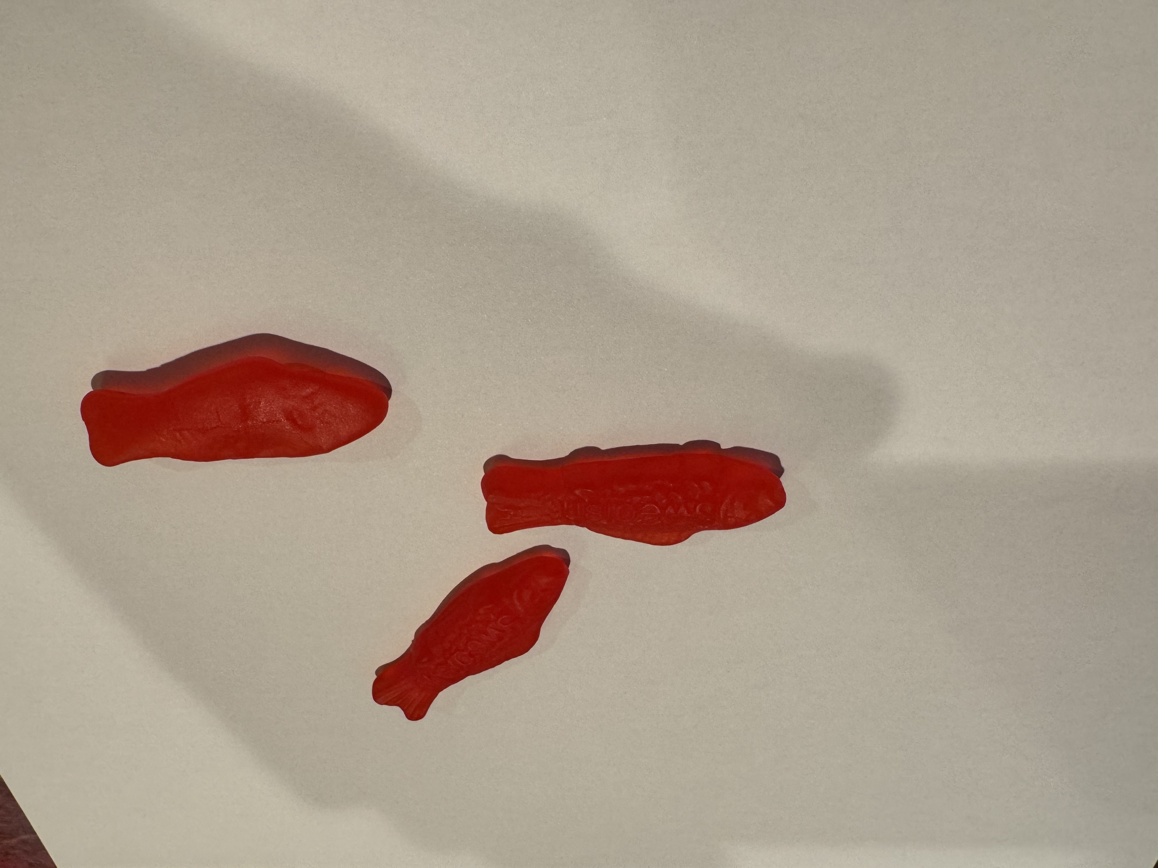 Swedish Fish Object Detection Dataset and Pre-Trained Model by Petrifilm