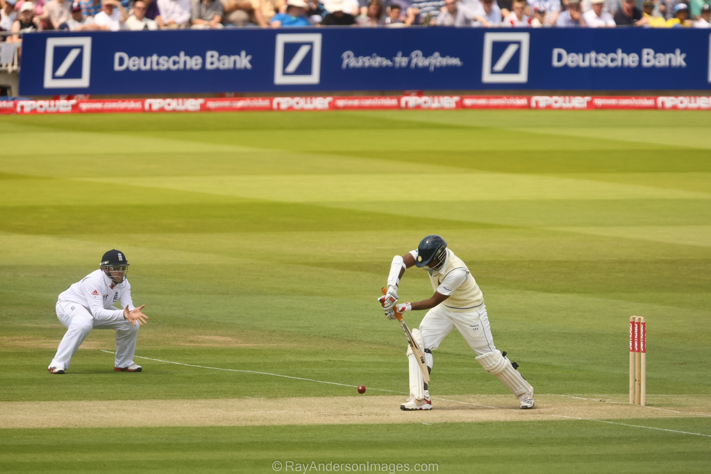 iisc_cricket Classification Model by avni