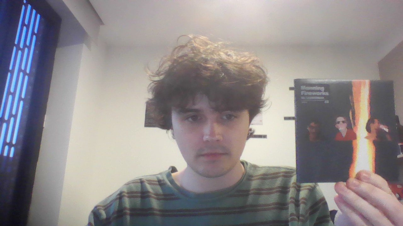 Detect, Count, And Visualize Instance Segmentation Instance Segmentation Dataset by Album detection