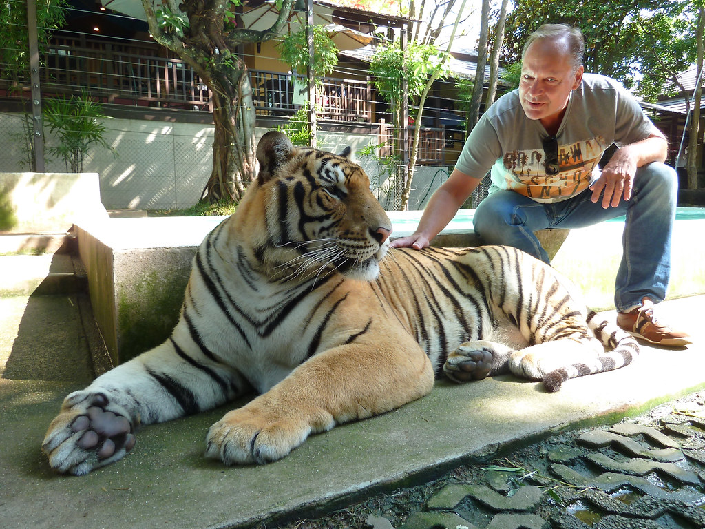 tiger_image Object Detection Dataset by twilight