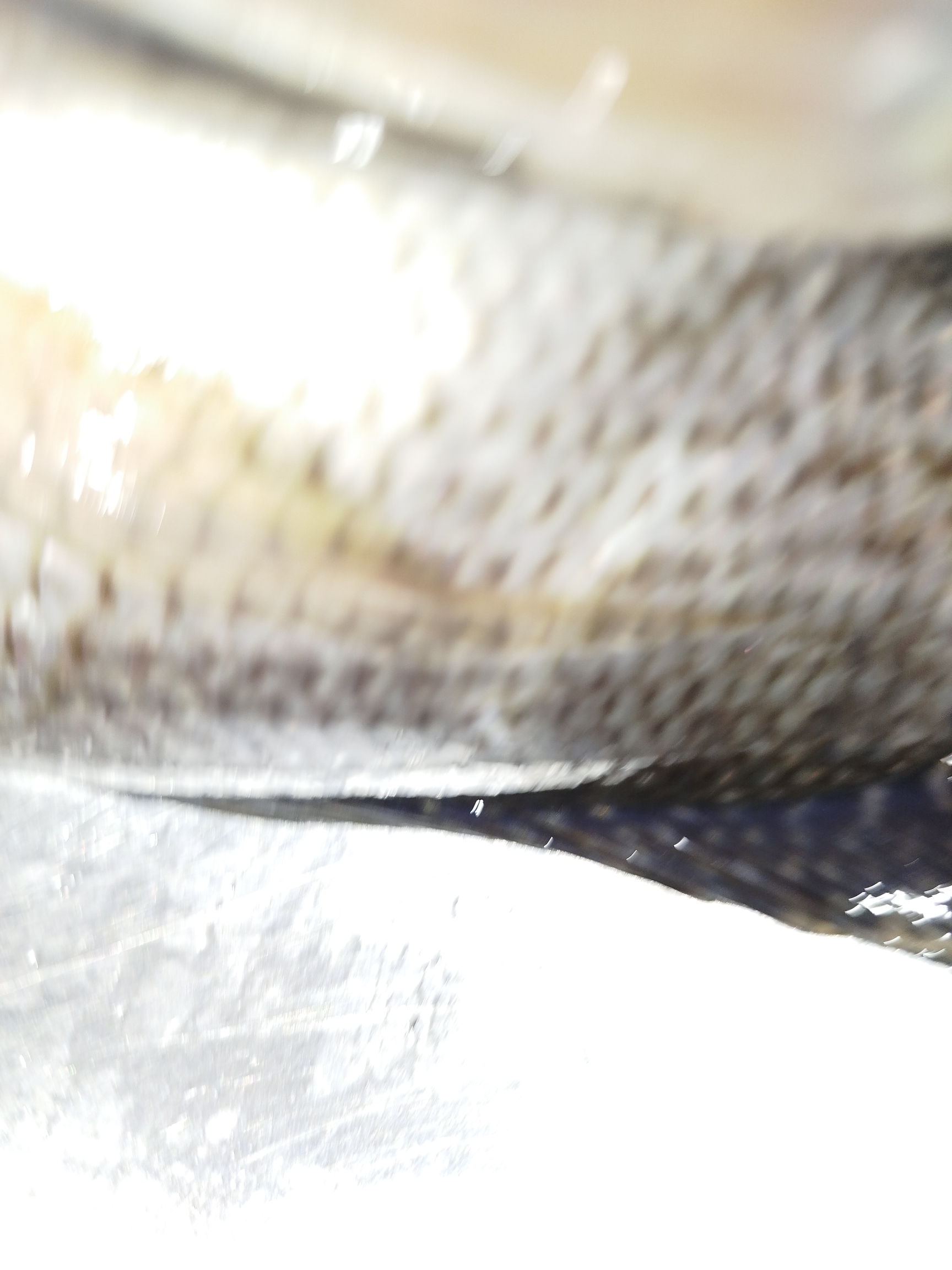 Detect And Classify Object Detection Object Detection Dataset by fish ... Detect And Classify Object Detection Object Detection Dataset by fish ...