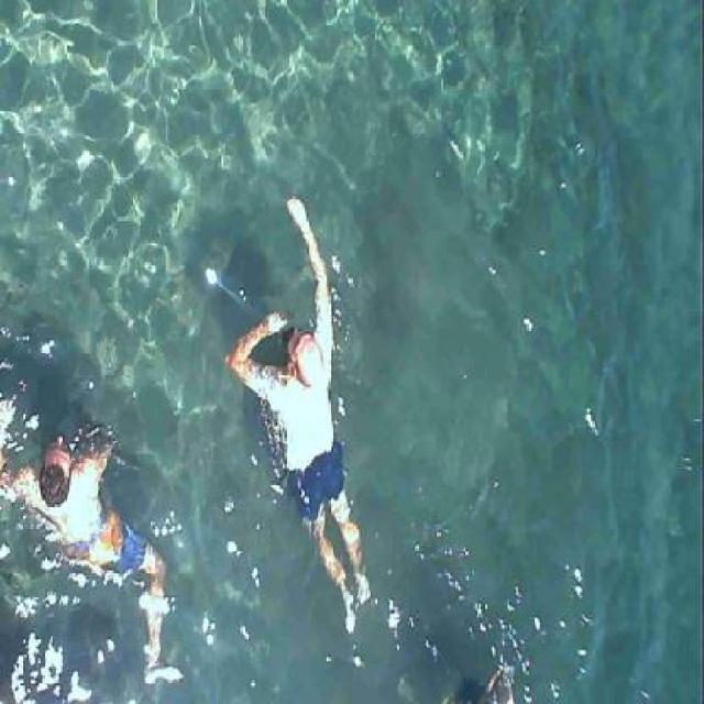 Bogulan Tespit Object Detection Model By Bitirmeprojesi