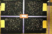 deep learning (deep-learning-md1sq) - Roboflow Universe