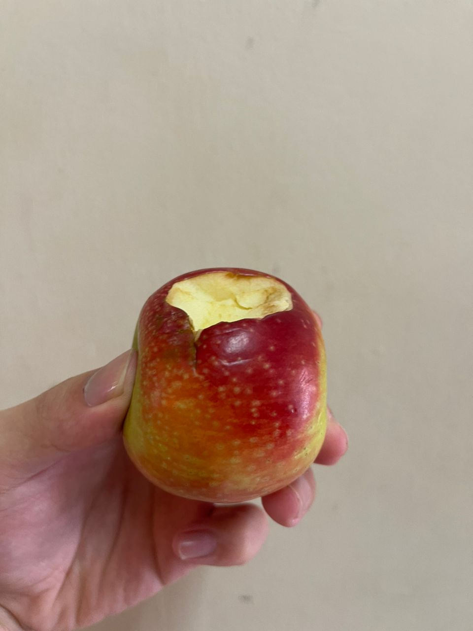 Fruit Quality Inspection System Object Detection Model by Weixiang