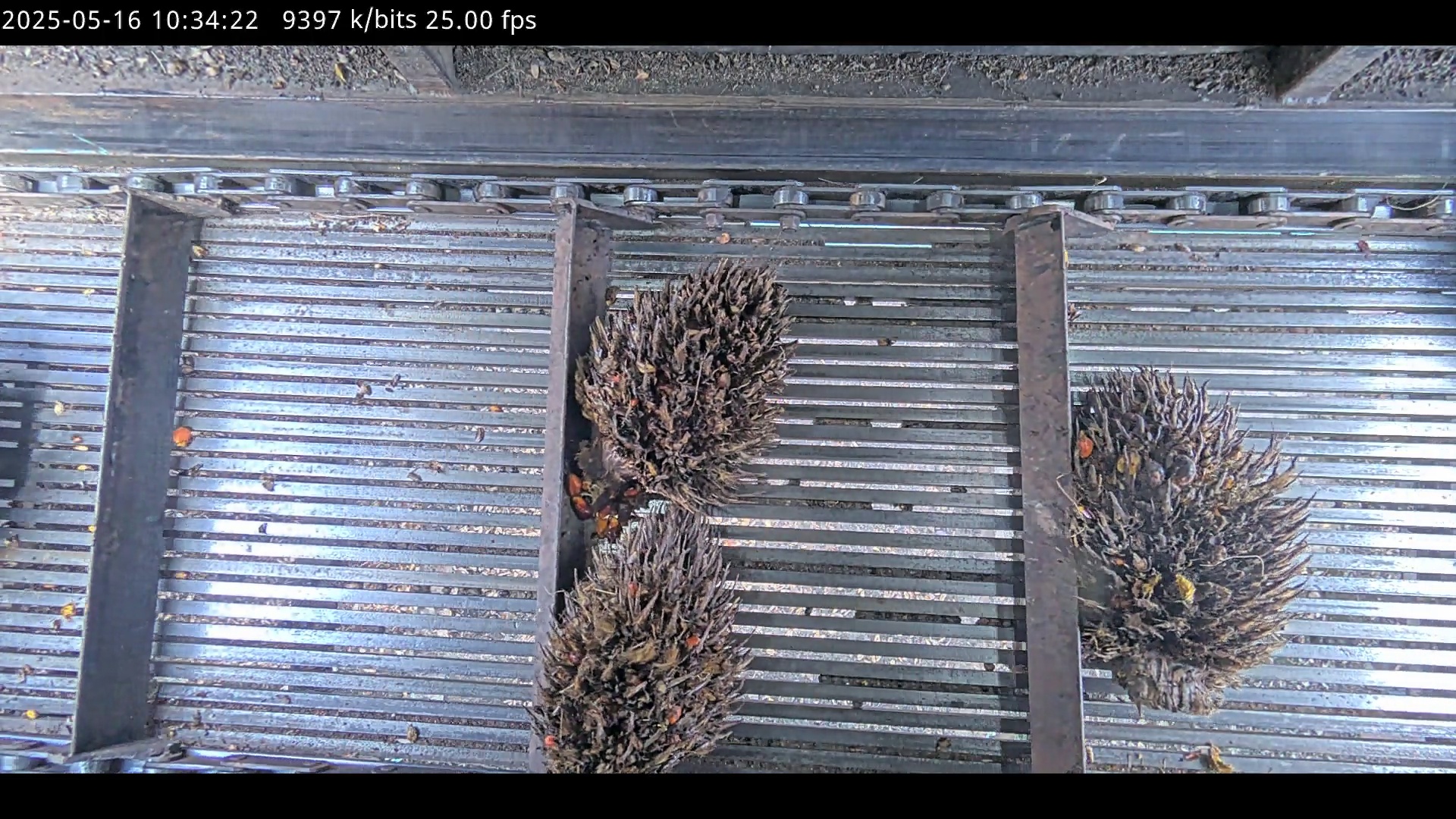 16mei25 Object Detection Dataset by tutorial roboflow