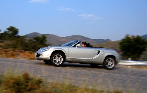 Shayan Object Detection Dataset And Pre Trained Model By Cis Lab