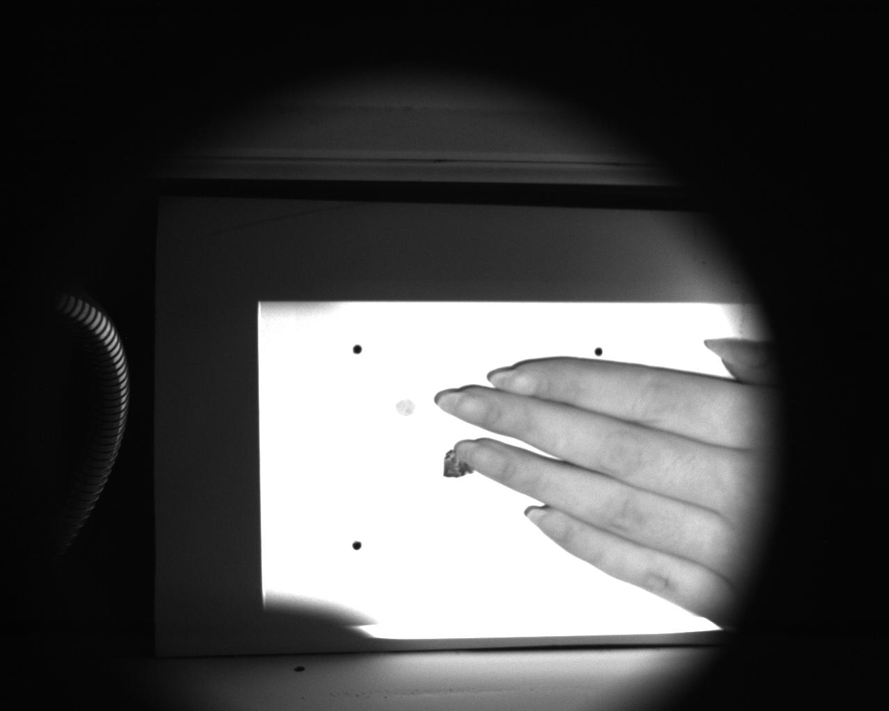 Nails detection Object Detection Dataset by yolov5try