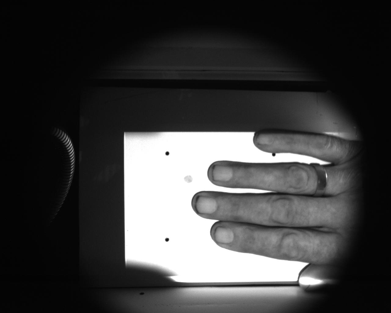 Nails_detectin Object Detection Dataset and Pre-Trained Model by yolov5try