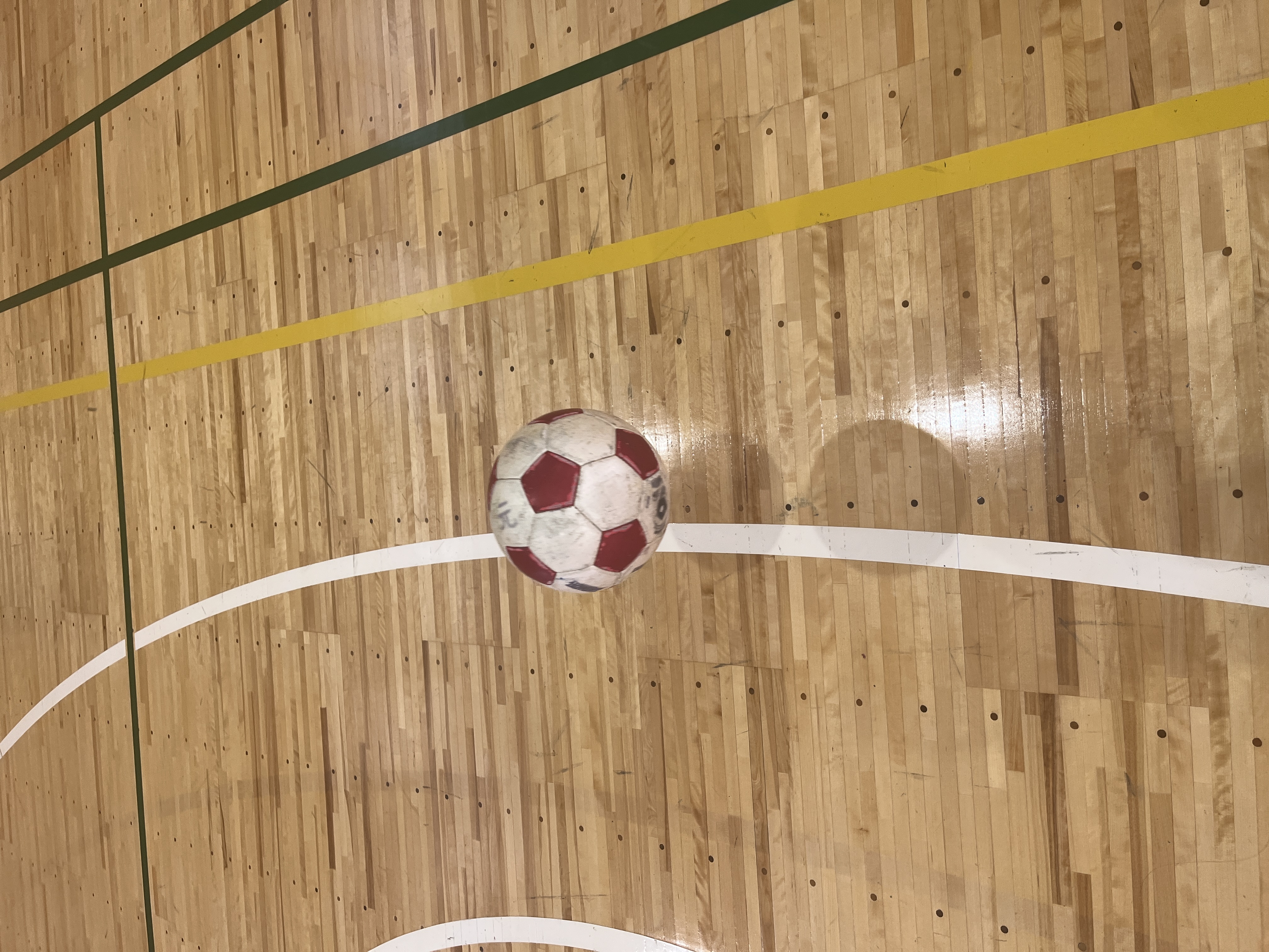soccer ball Object Detection Dataset by sohma