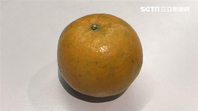 Rotten Oranges Object Detection Model by AIGO