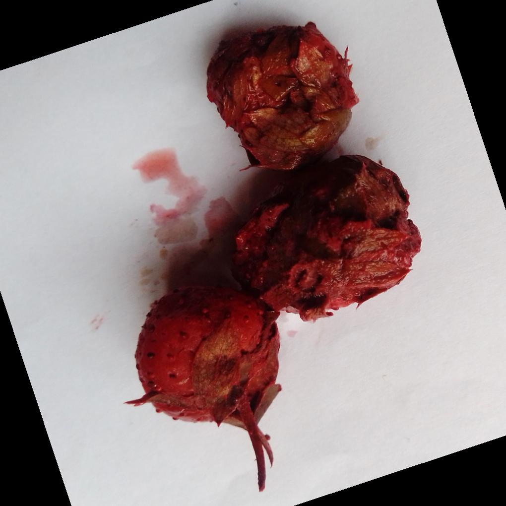 Rotten Strawberries Object Detection Dataset by Strawberry