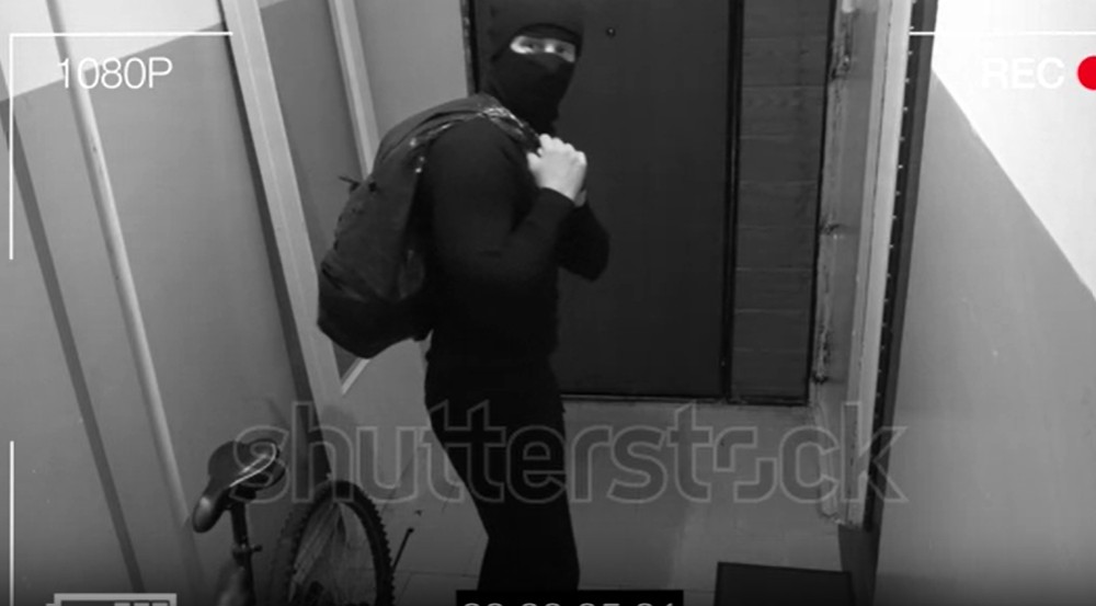 Roberry_final Object Detection Dataset by Vagdevi